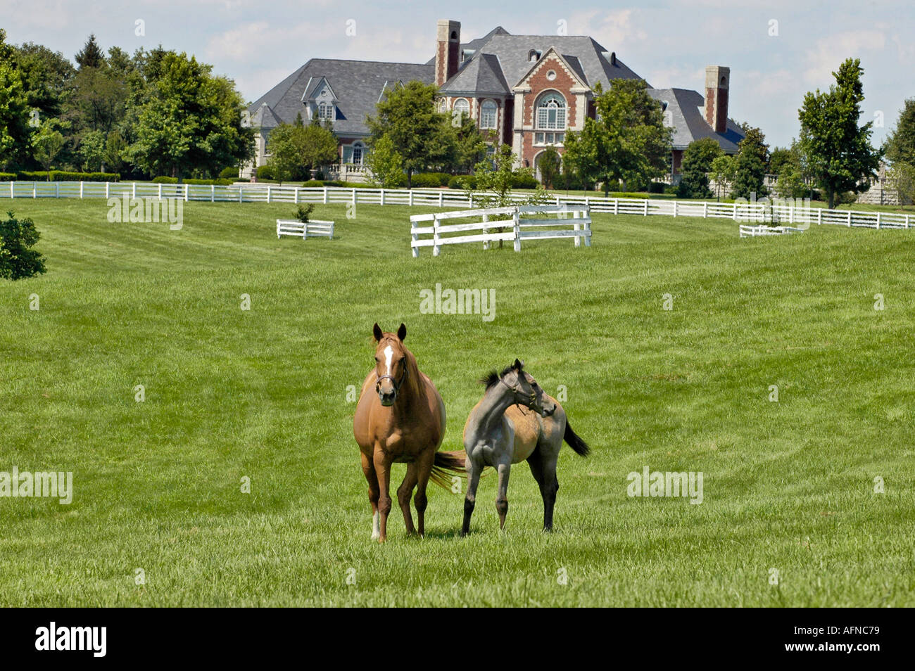 Kentucky Horse park and surrounding horse farms in Lexington KY Stock ...