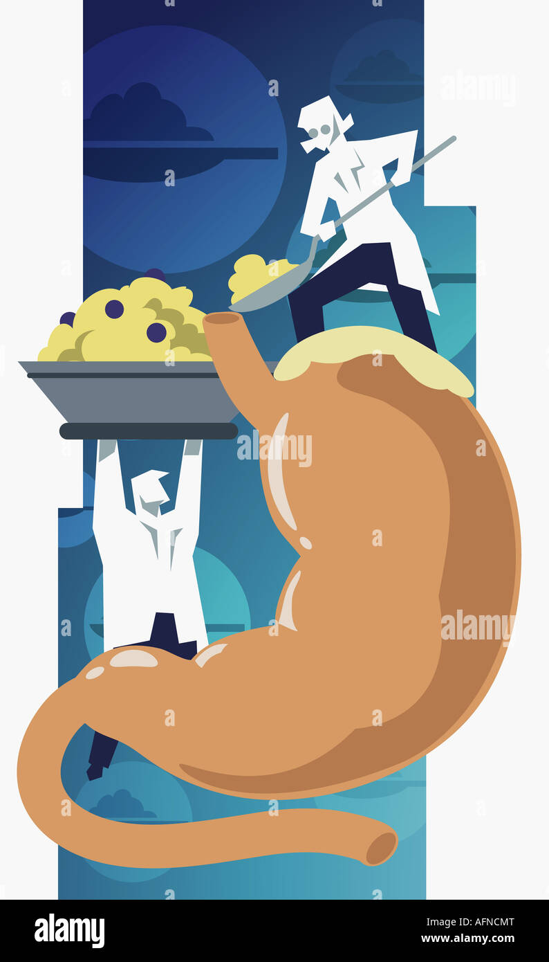 Doctors feeding a human stomach Stock Photo - Alamy