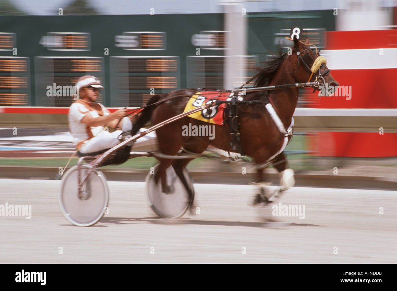 Horse and harness racing hi-res stock photography and images - Alamy