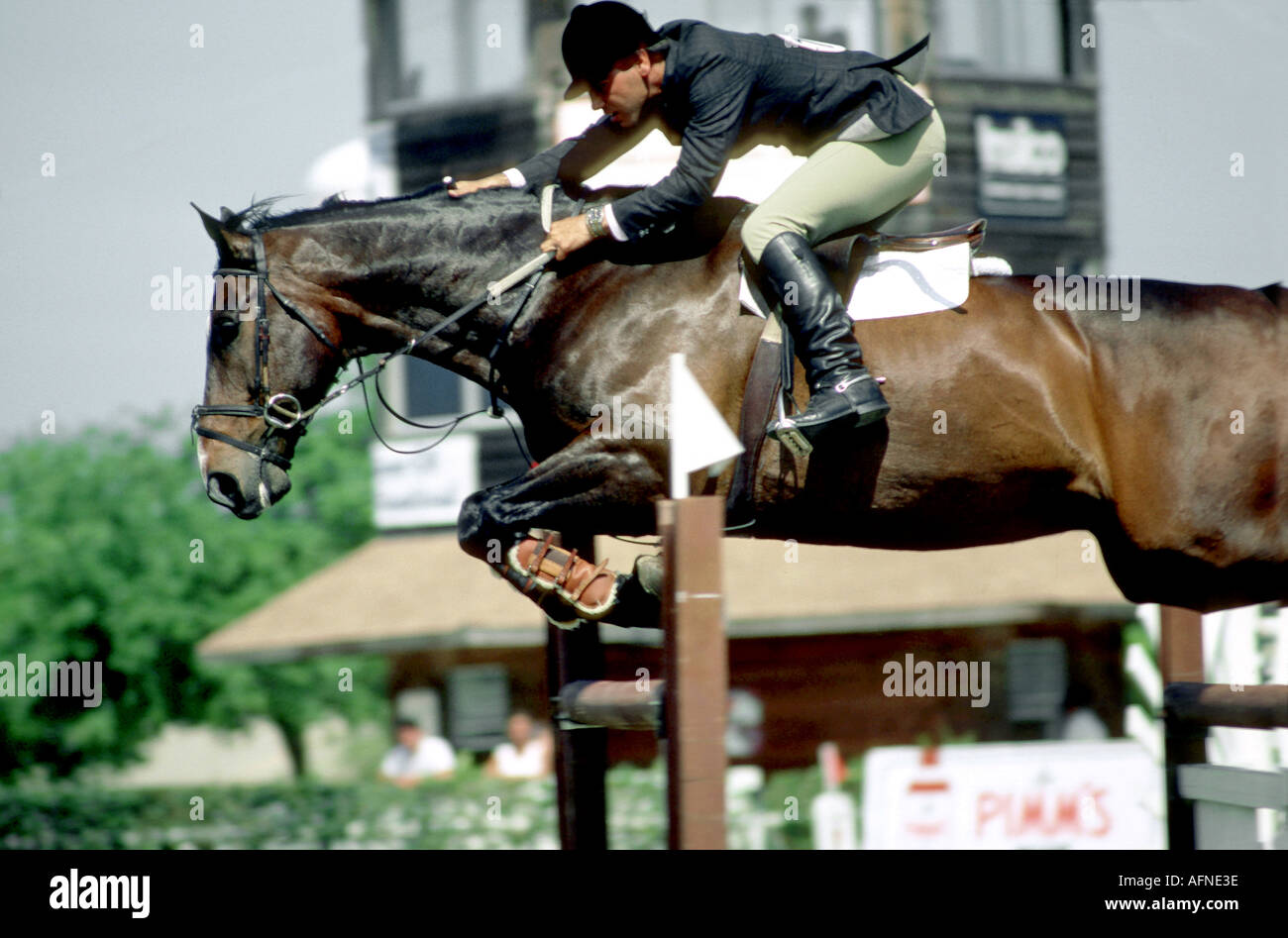 Horse jumps during equestrian event Stock Photo - Alamy