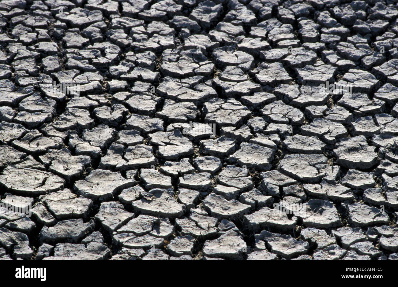 clods of dry soil Stock Photo - Alamy