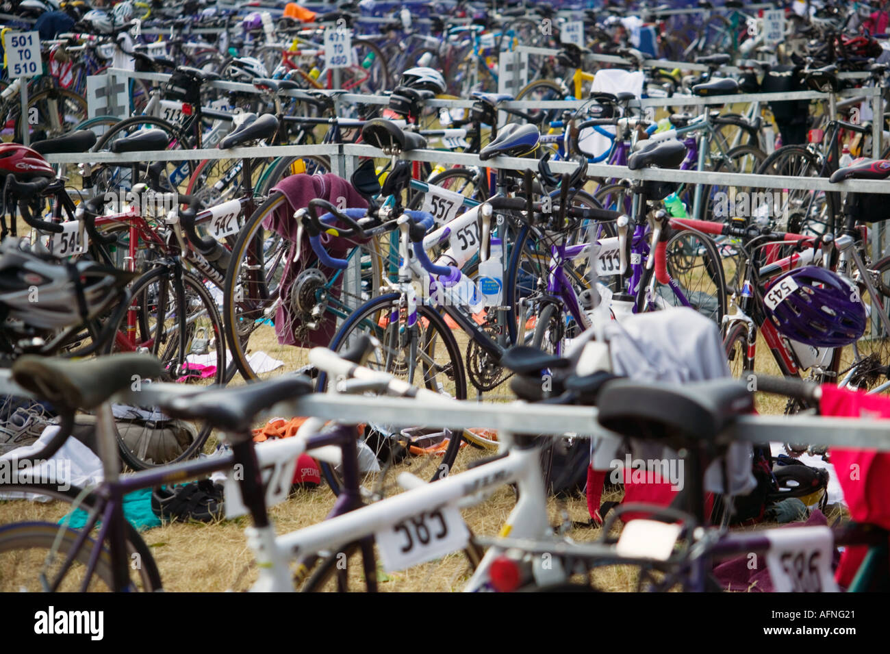 Racks of bicycles at a triathlon Stock Photo - Alamy