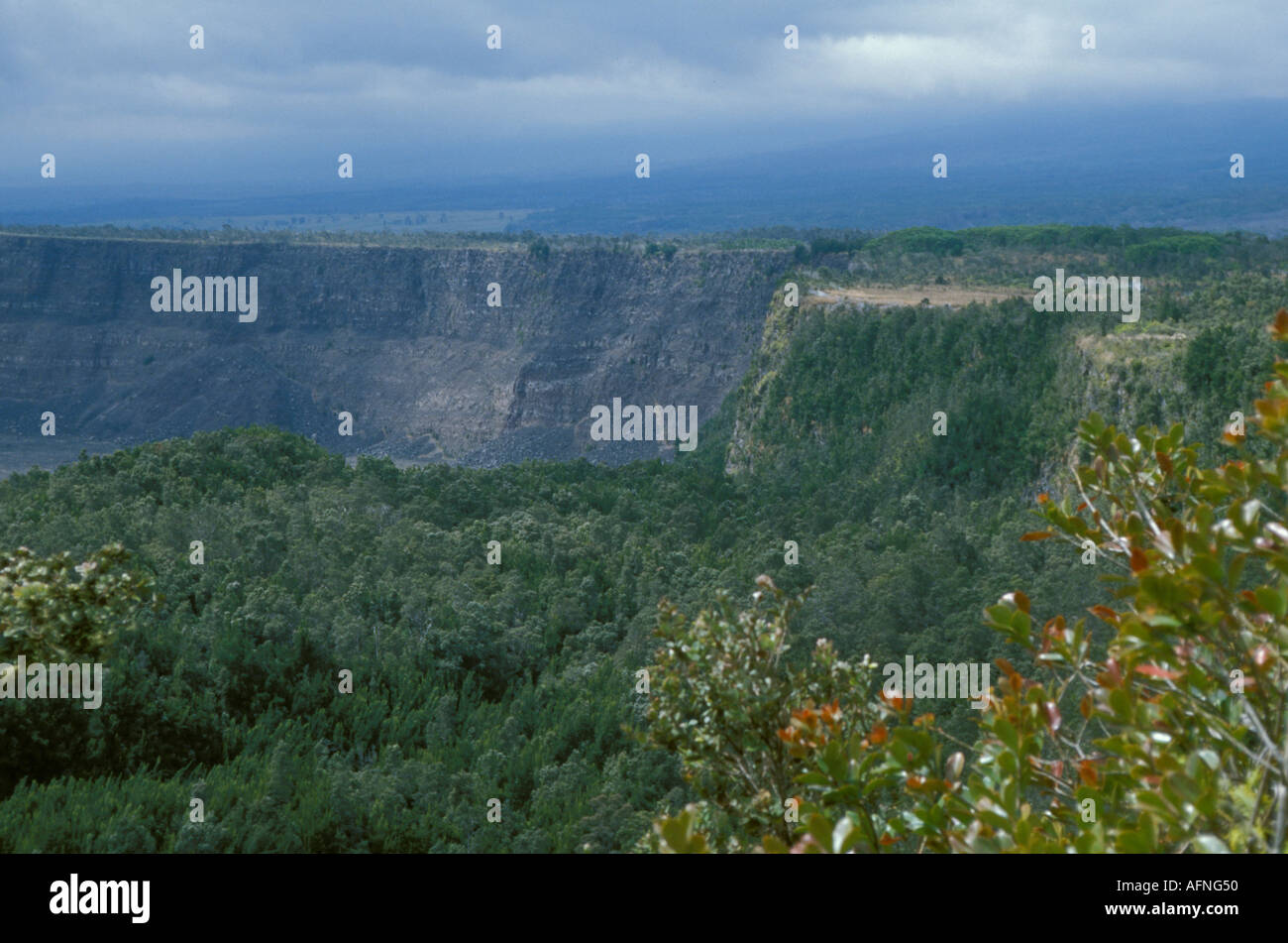 Volcanic Rain Forest and Kilauee Crater Volcanoes National Park Hilo ...