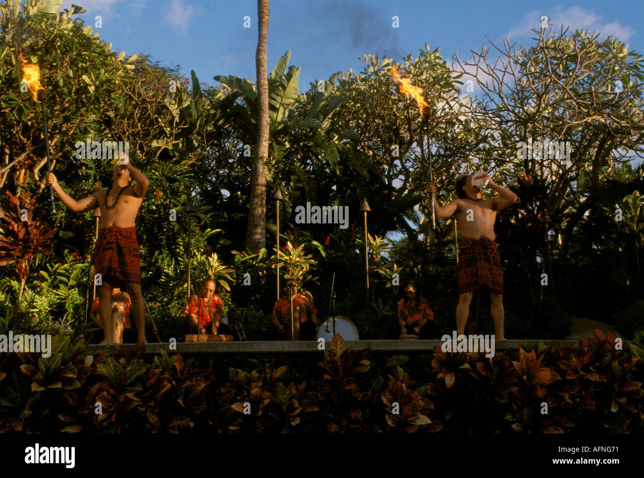 Hawaiian performers no model release blowing conch shell horns Maui ...