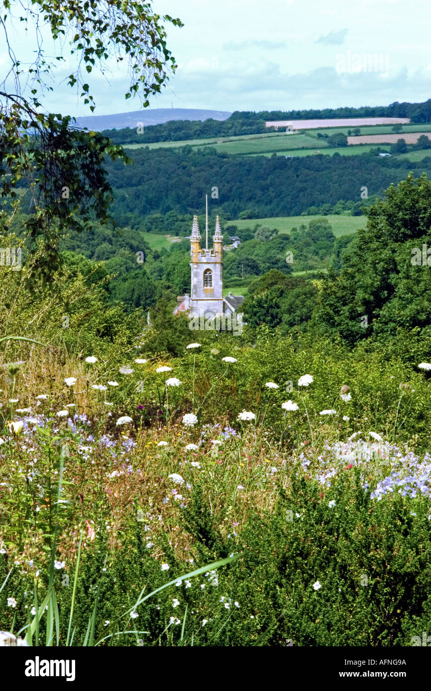 VIEW FROM THE GARDEN HOUSE TO THE CHURCH AT BUCKLAND MONACHORUM, DEVON ...