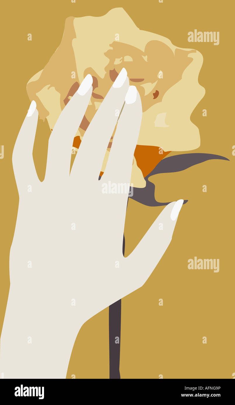 Person's hand touching a rose Stock Photo - Alamy