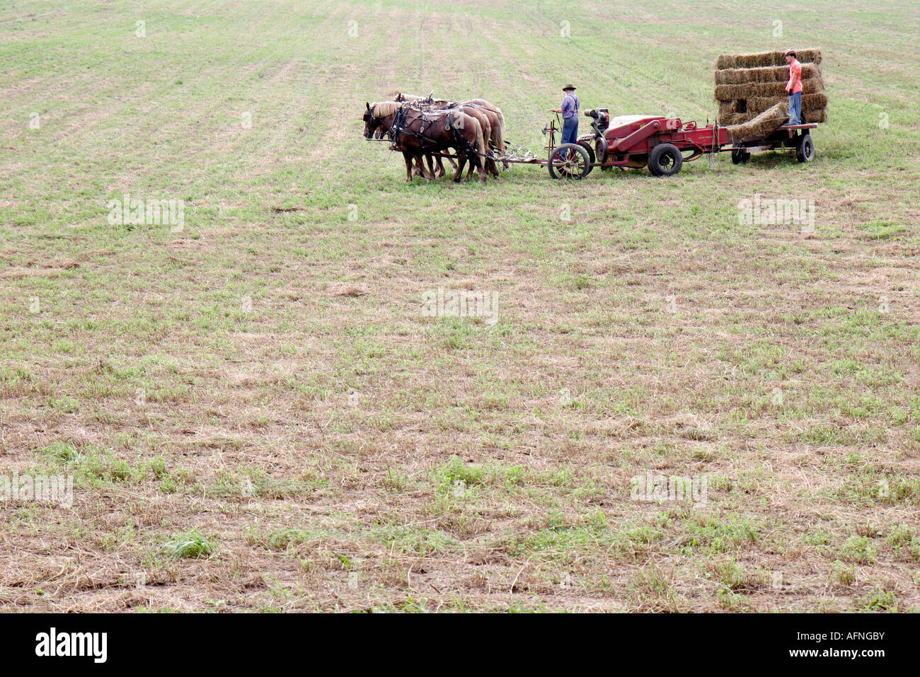 Horse drawn hay baler hi-res stock photography and images - Alamy