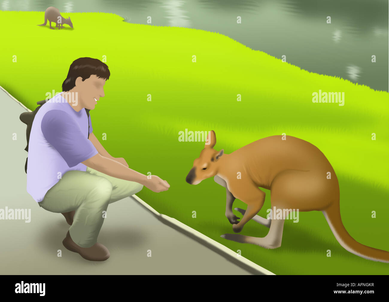 Man crouching and feeding a kangaroo Stock Photo - Alamy
