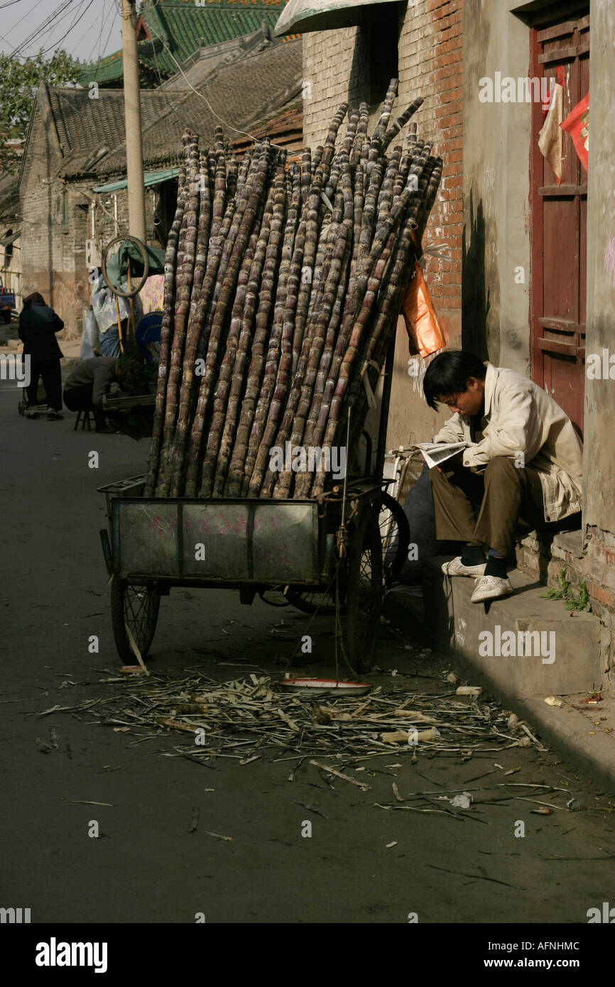 Man with sugar cane Stock Photo - Alamy