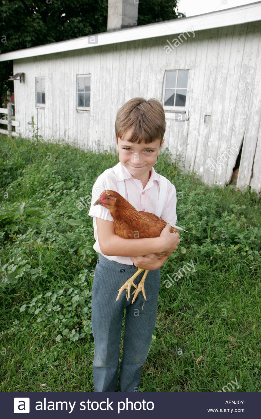 Indiana Shipshewana Amish Farm Tour High Resolution Stock Photography ...