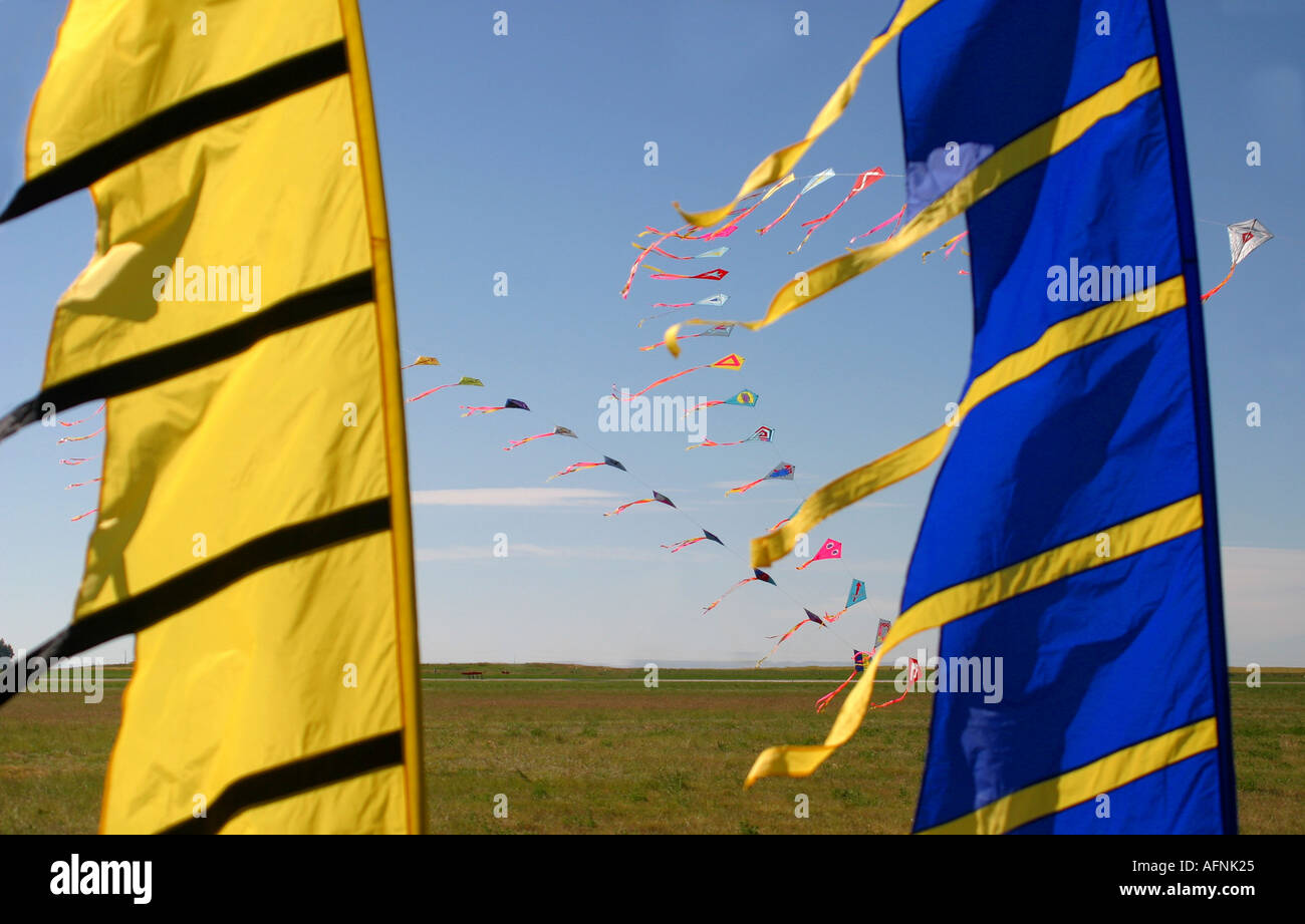 KITES riding the breeze Stock Photo - Alamy