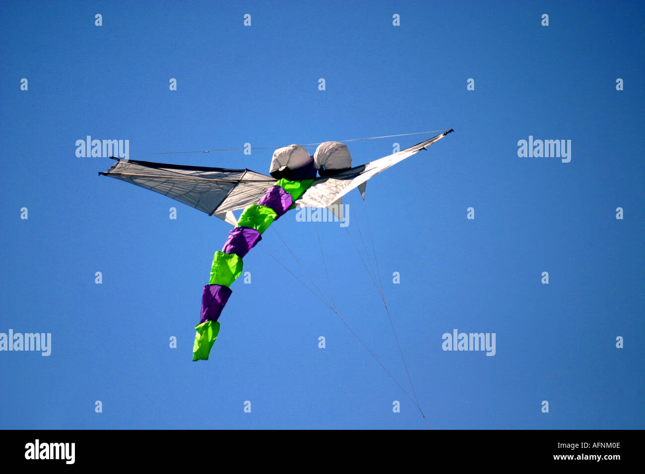 KITES riding the breeze Stock Photo - Alamy