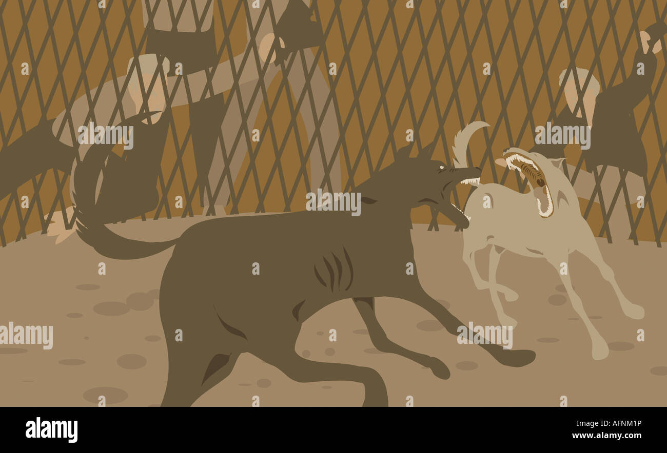 Two dogs fighting Stock Photo - Alamy