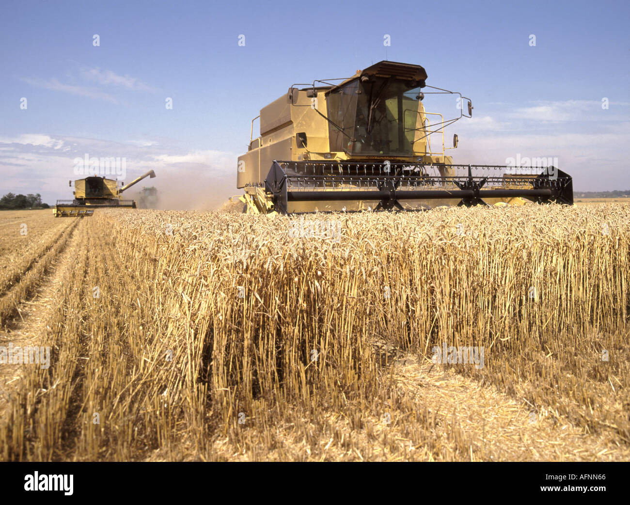 Front close up view of farmer combine harvesters machines working ...
