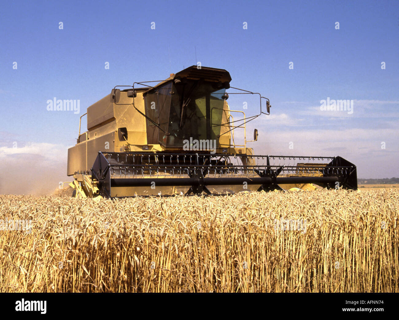 Front close up view of farmer combine harvester machine working harvest ...