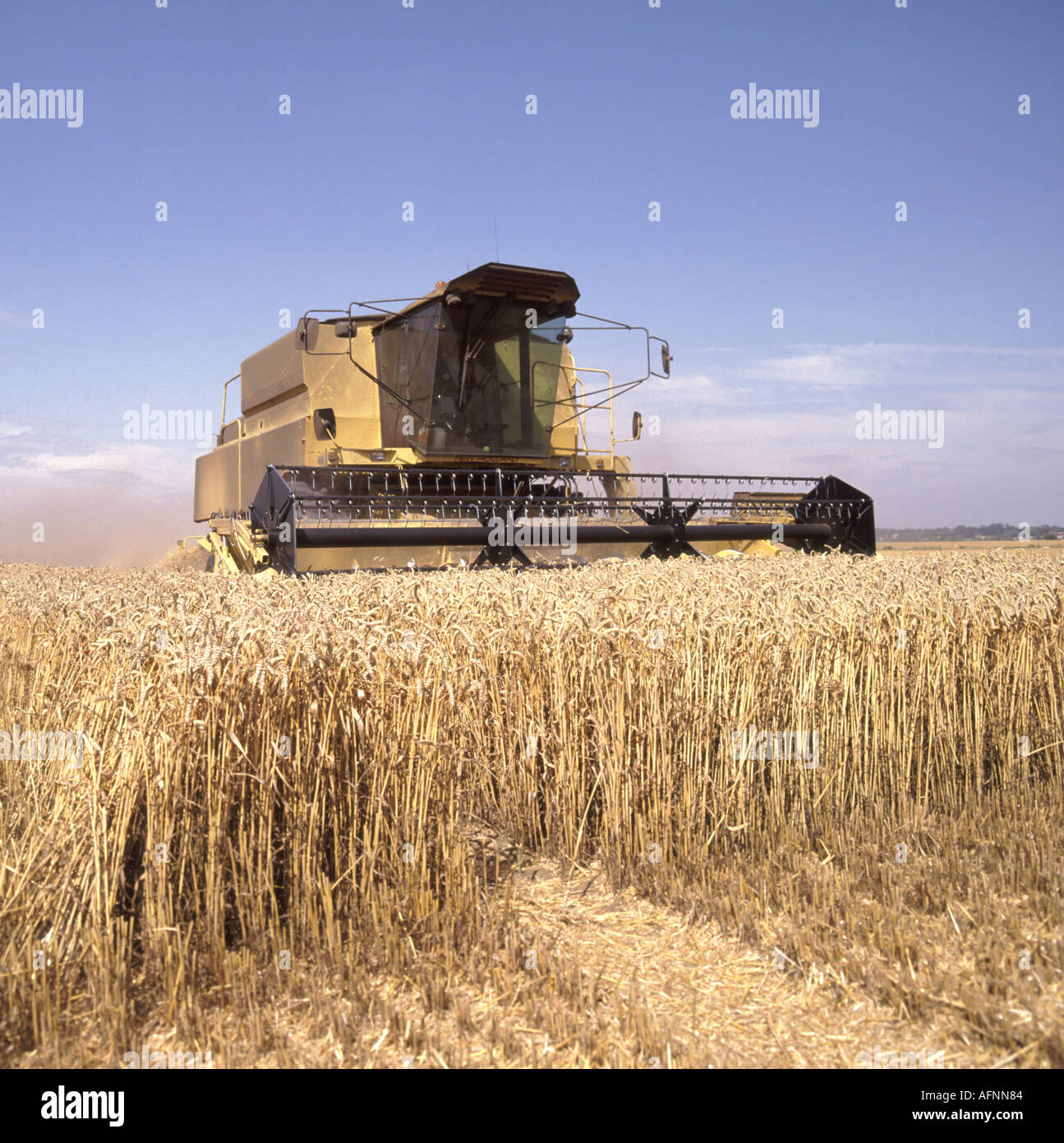 Front view grain harvester working hi-res stock photography and images ...