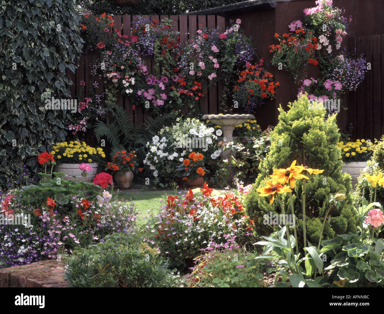 Typical English domestic residential back garden part of lawn with ...