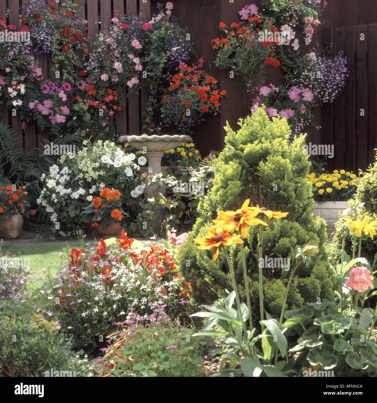 Typical English domestic residential back garden part of lawn with ...