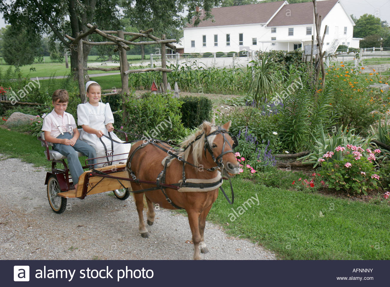 Indiana Shipshewana Amish Farm Tour High Resolution Stock Photography ... Indiana Shipshewana Amish Farm Tour High Resolution Stock Photography ...