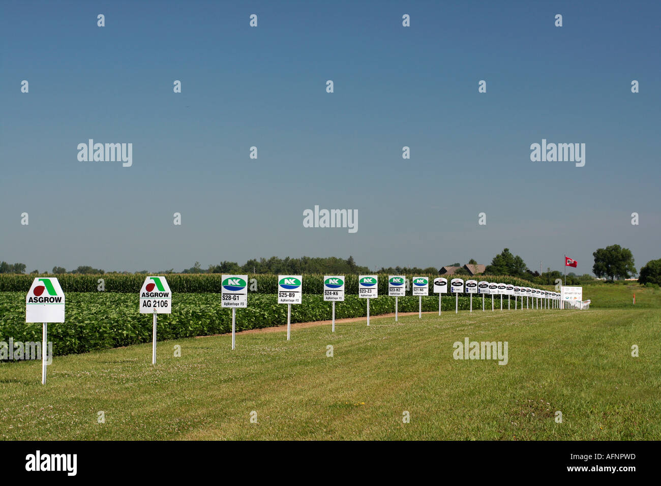 Soybean demonstration plot Stock Photo - Alamy