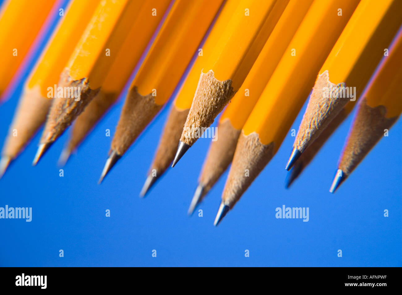 Line up of standard yellow freshly sharpened pencils Stock Photo - Alamy