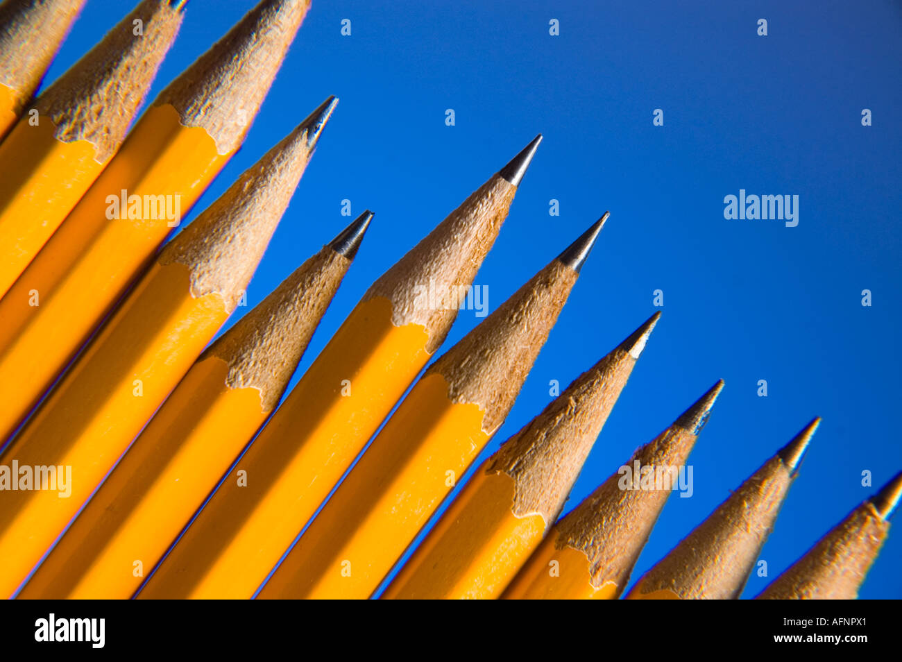 Line up of standard yellow freshly sharpened pencils Stock Photo - Alamy