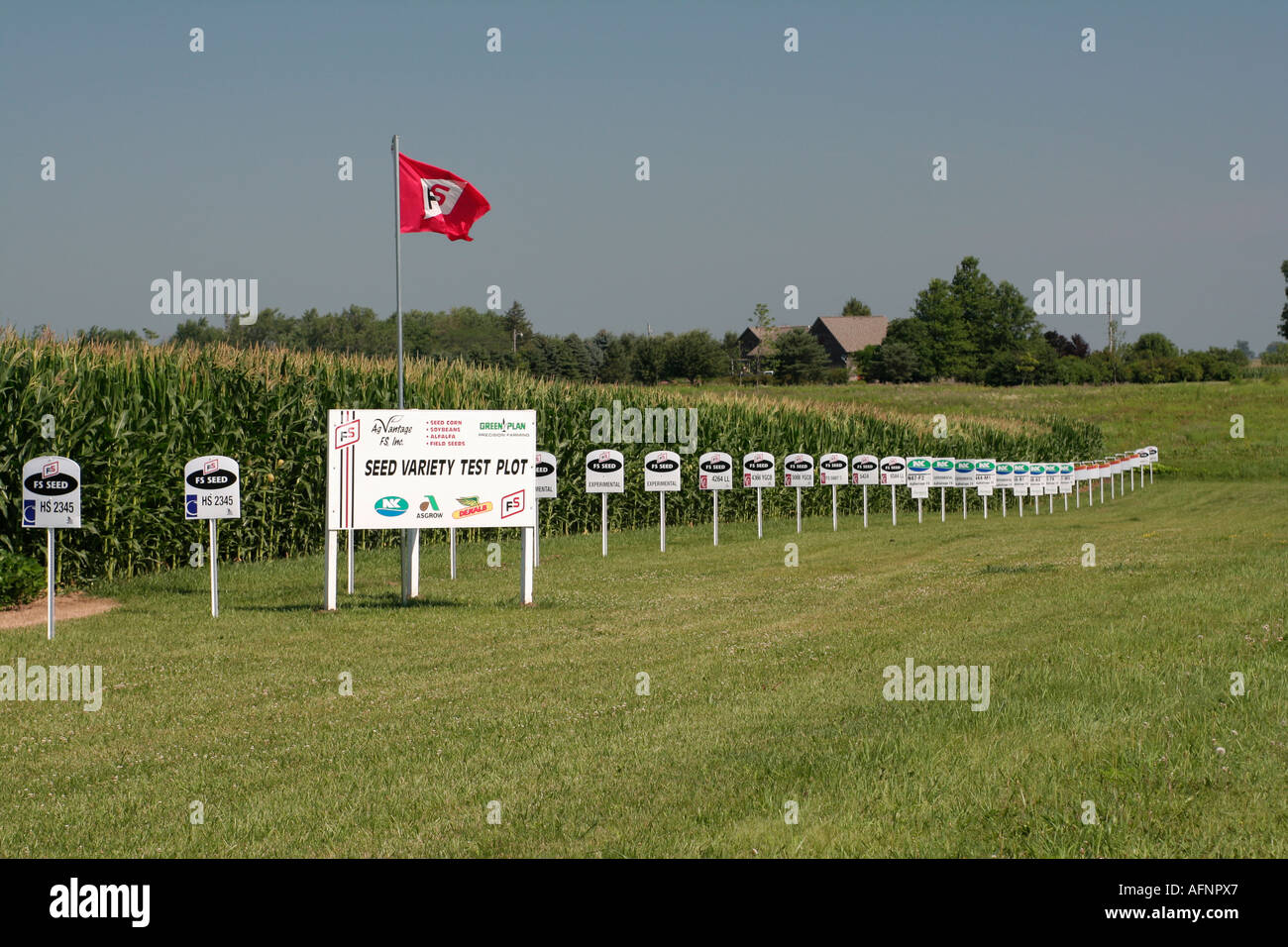 Research plot hi-res stock photography and images - Alamy