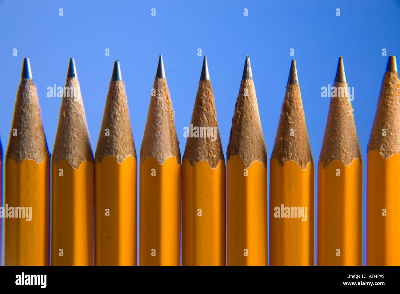 Line up of standard yellow freshly sharpened pencils Stock Photo - Alamy