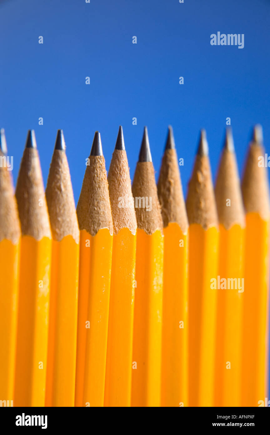 Line up of standard yellow freshly sharpened pencils Stock Photo - Alamy