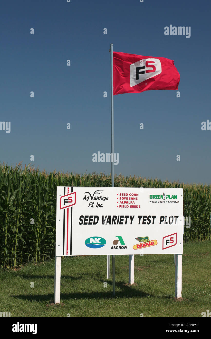Corn demonstration plot Stock Photo - Alamy
