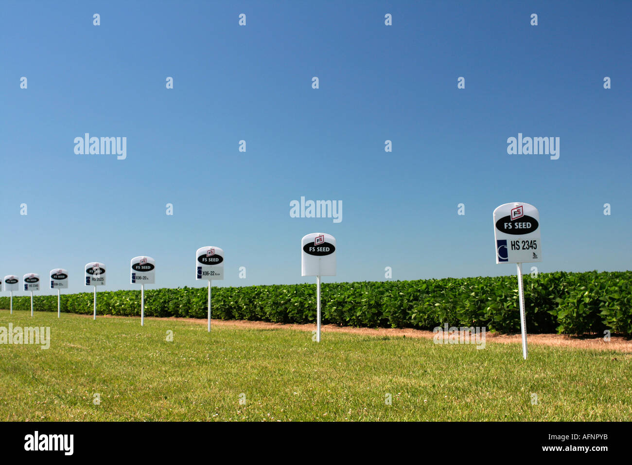Soybean demonstration plot Stock Photo - Alamy