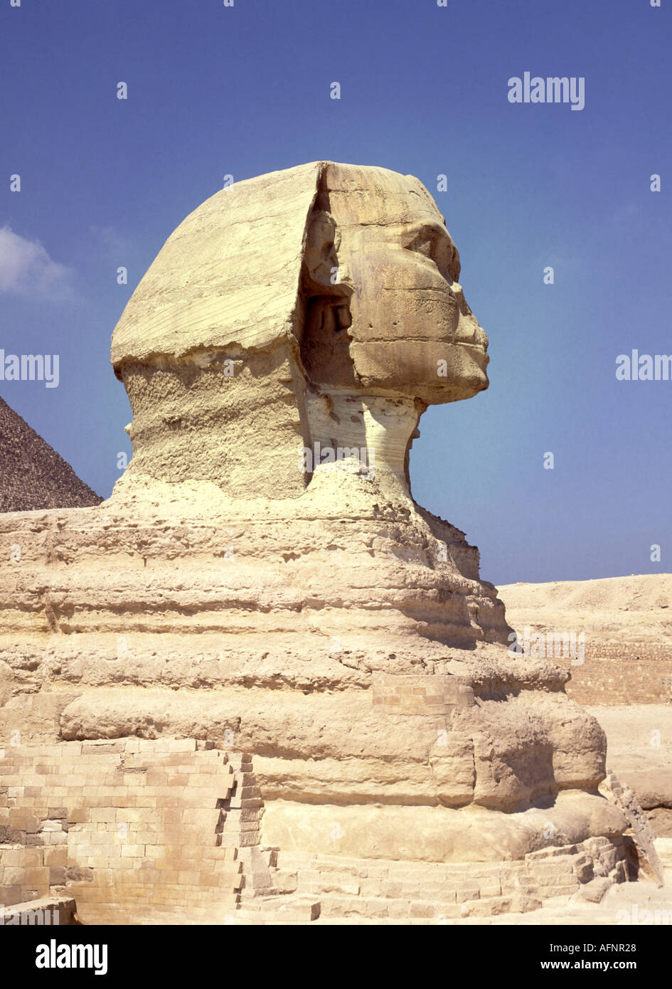 Giza near Cairo the Great Sphinx in profile Stock Photo - Alamy