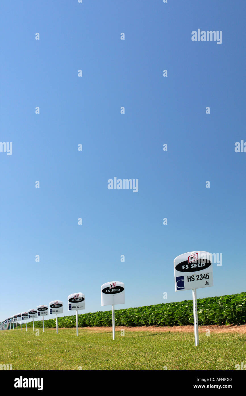 Soybean demonstration plot Stock Photo - Alamy
