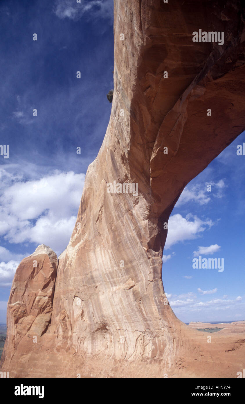 Slick rock biking moab hi-res stock photography and images - Alamy