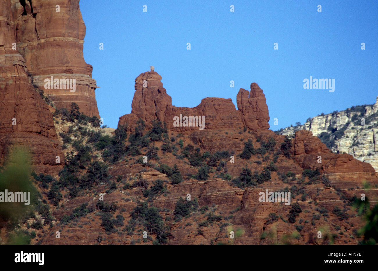 Snoopy Rock High Resolution Stock Photography and Images - Alamy