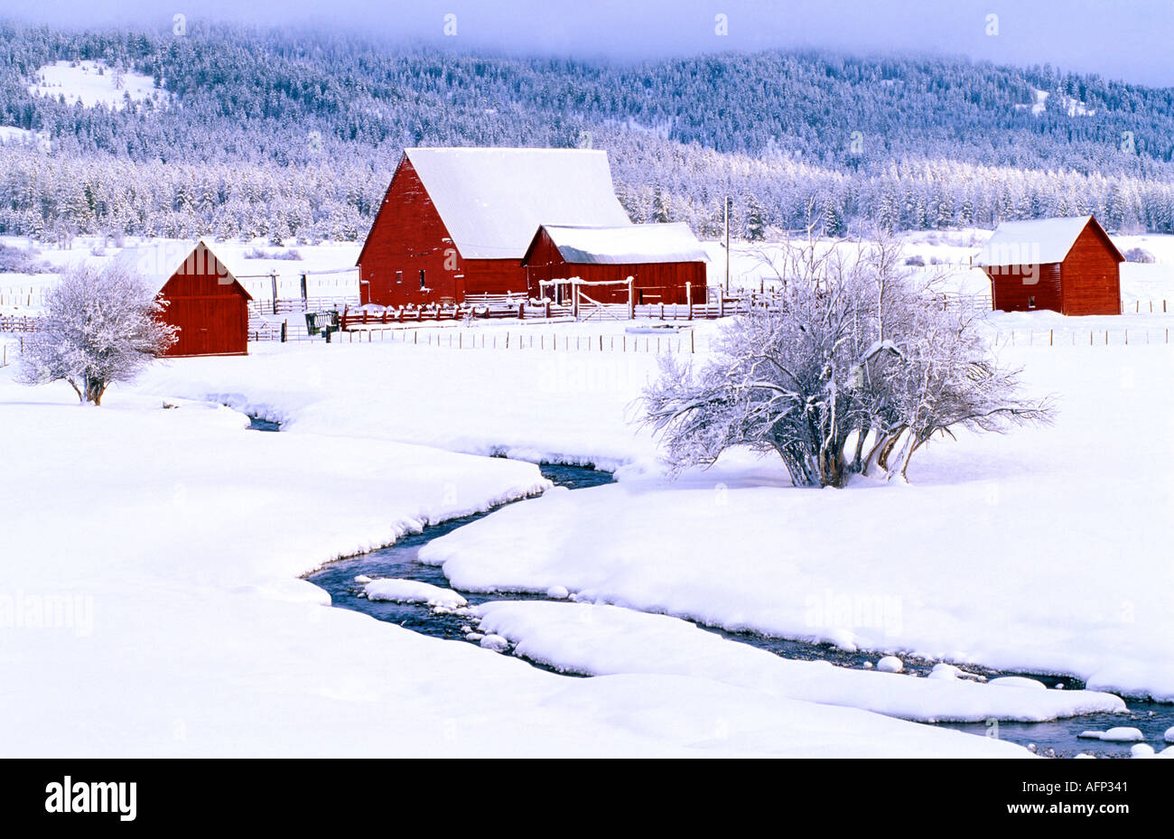 USA Idaho winter scene of ranch with red barns covered by fresh snow ...