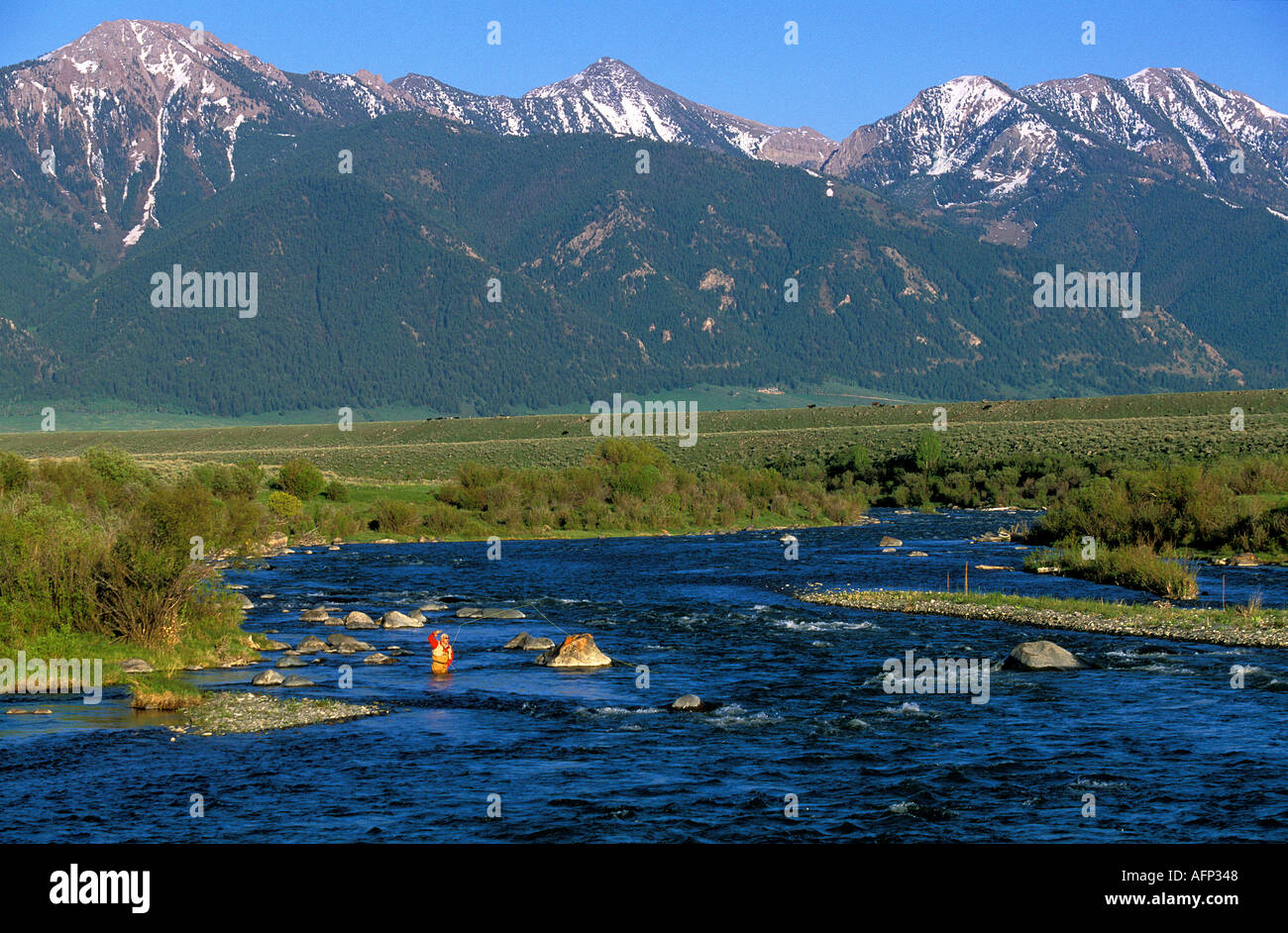 Madison river hi-res stock photography and images - Alamy