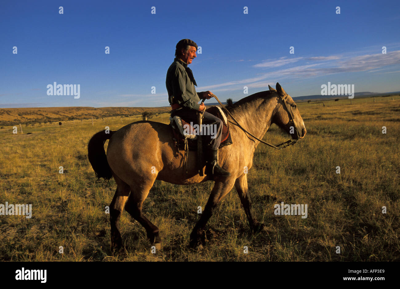 Cowboy Horseback Riding