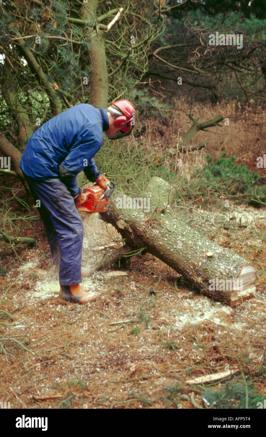 Cutting tree anglesey woodland man hi-res stock photography and images ...