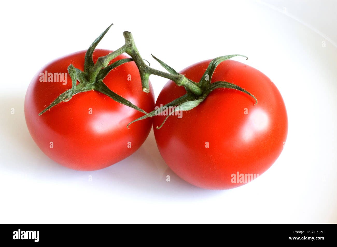 Vine ripened tomato against a white background Stock Photo - Alamy