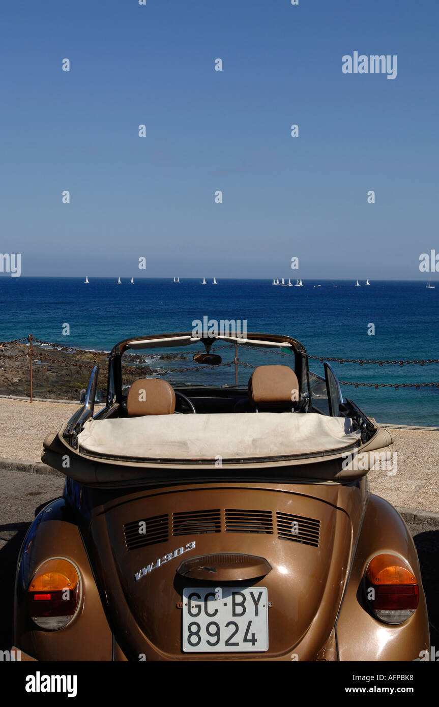 Beach beetle hi-res stock photography and images - Alamy