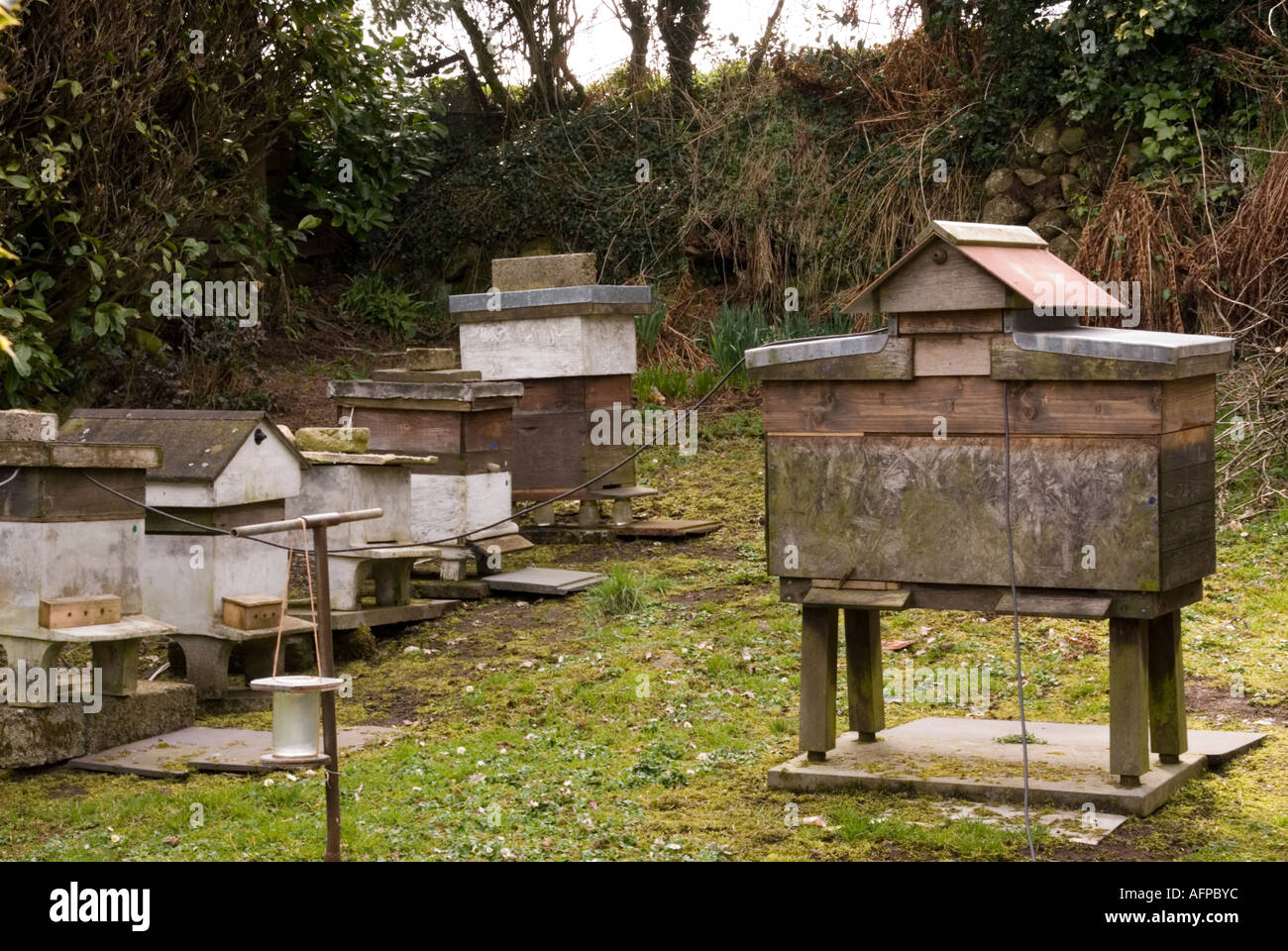 Experimental beehives some with concrete bases in Broughshane N Ireland ...