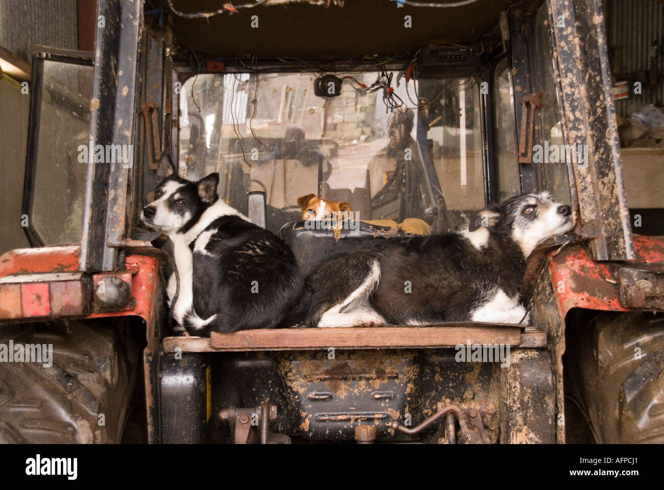 Farmer Jack High Resolution Stock Photography and Images - Alamy