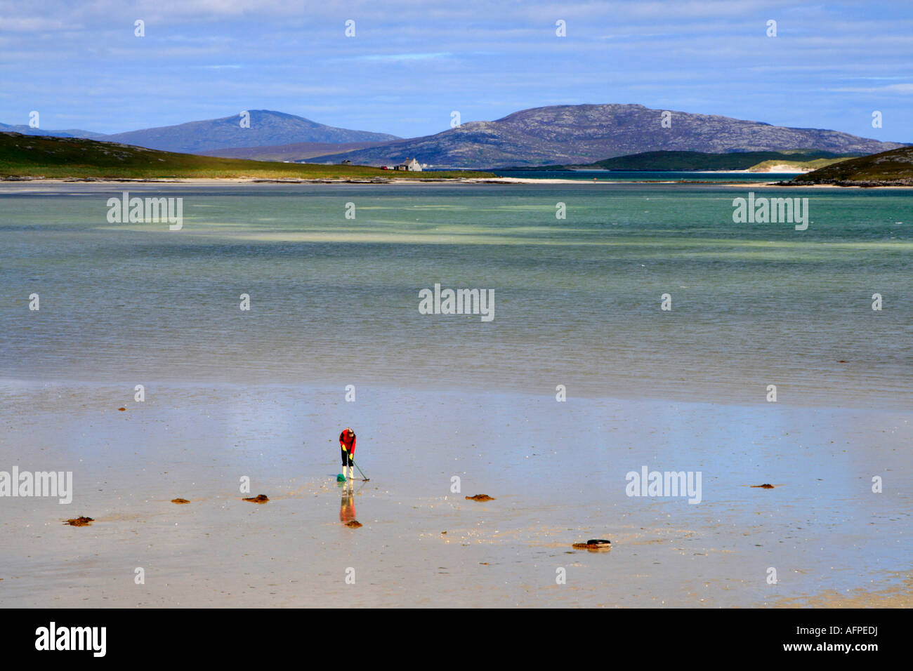 Cockle farming hi-res stock photography and images - Alamy