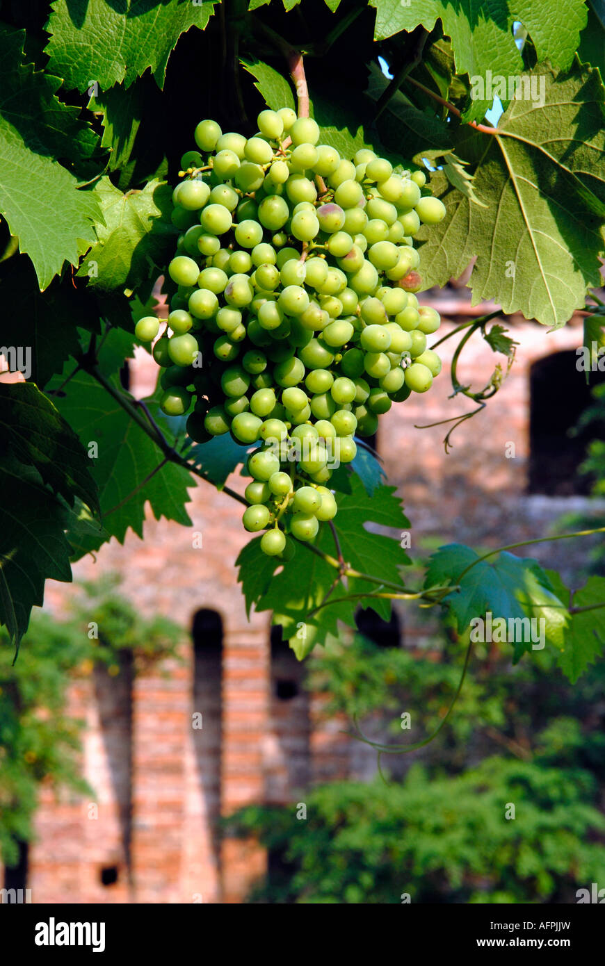 White castle italy hi-res stock photography and images - Alamy
