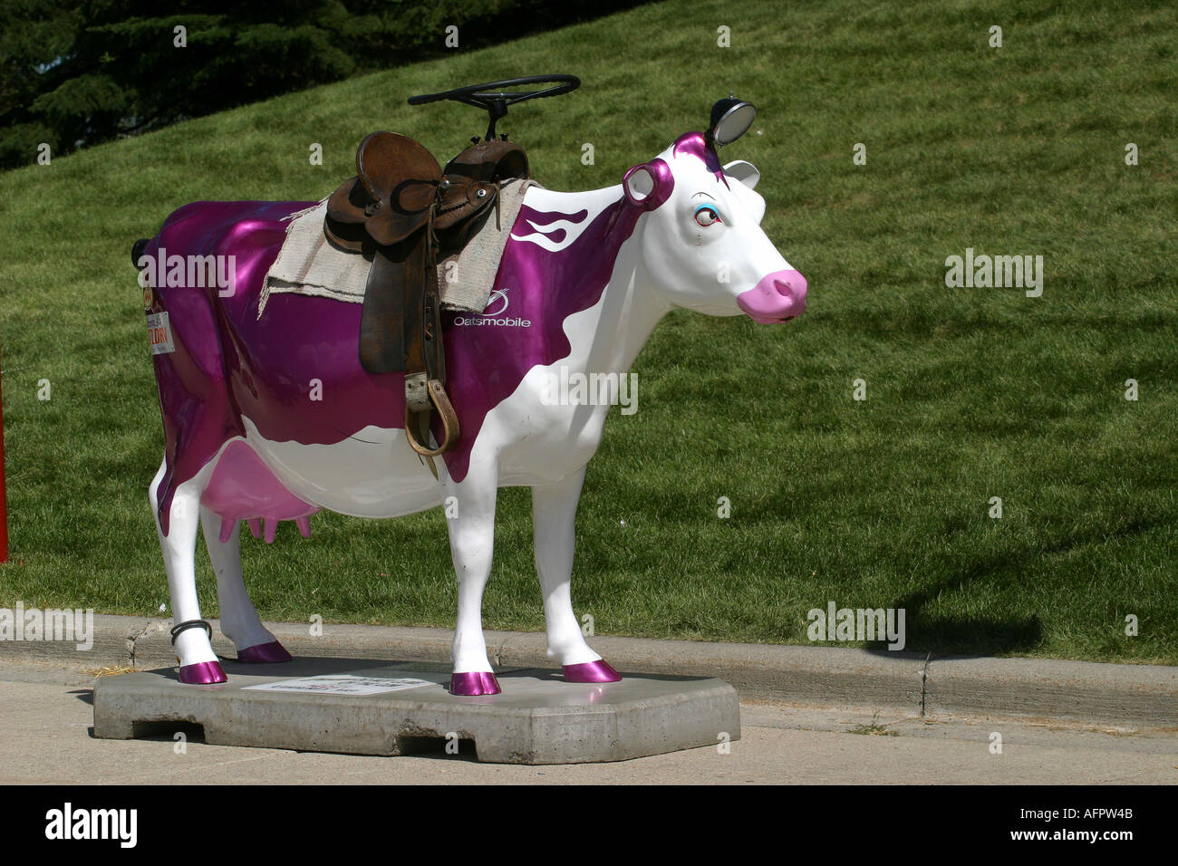 Purple Cow , I'd rather see than be one Stock Photo - Alamy