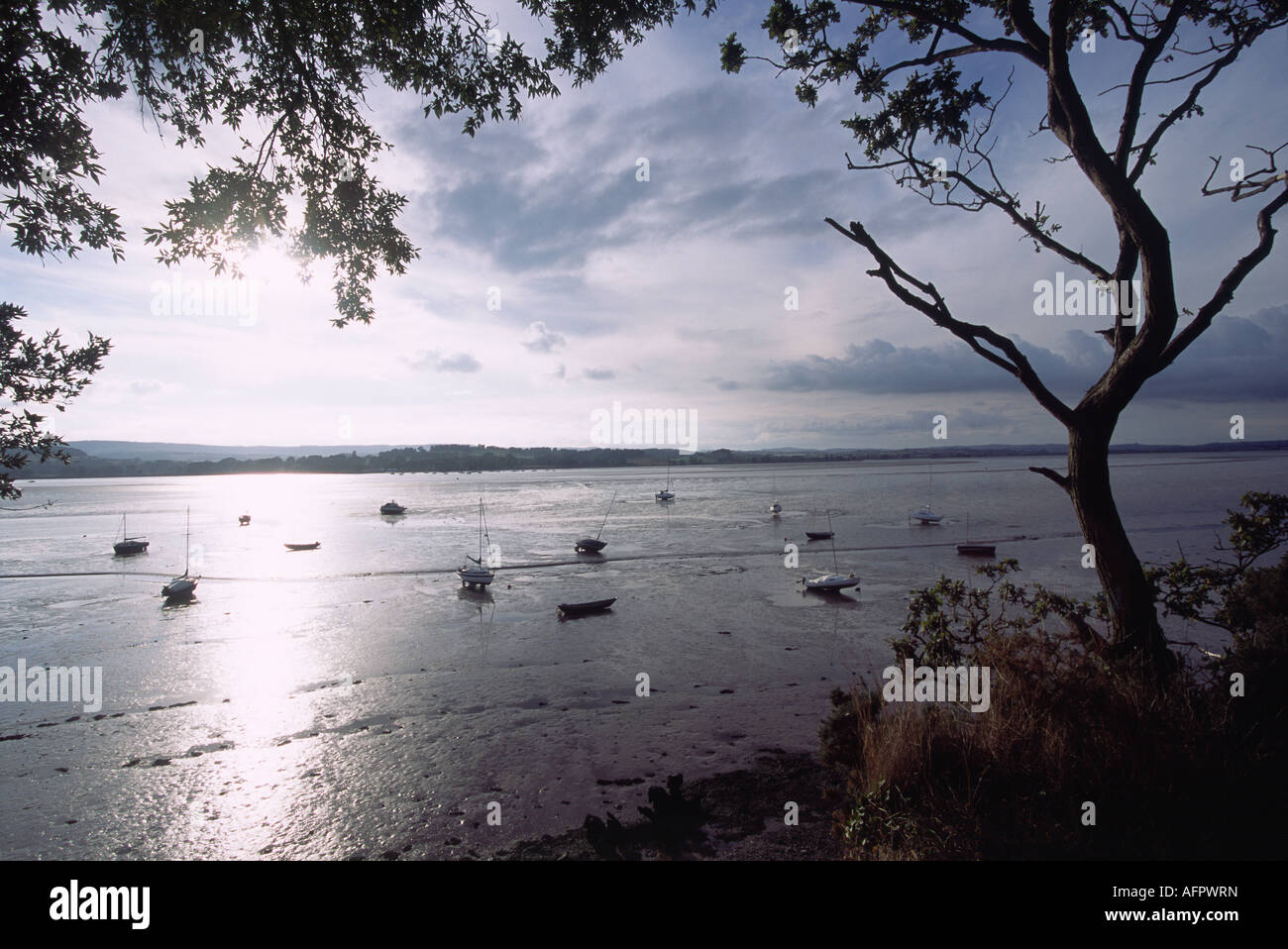 The Exe Estuary at Lympstone Devon during Low Tide with Assorted Small ...