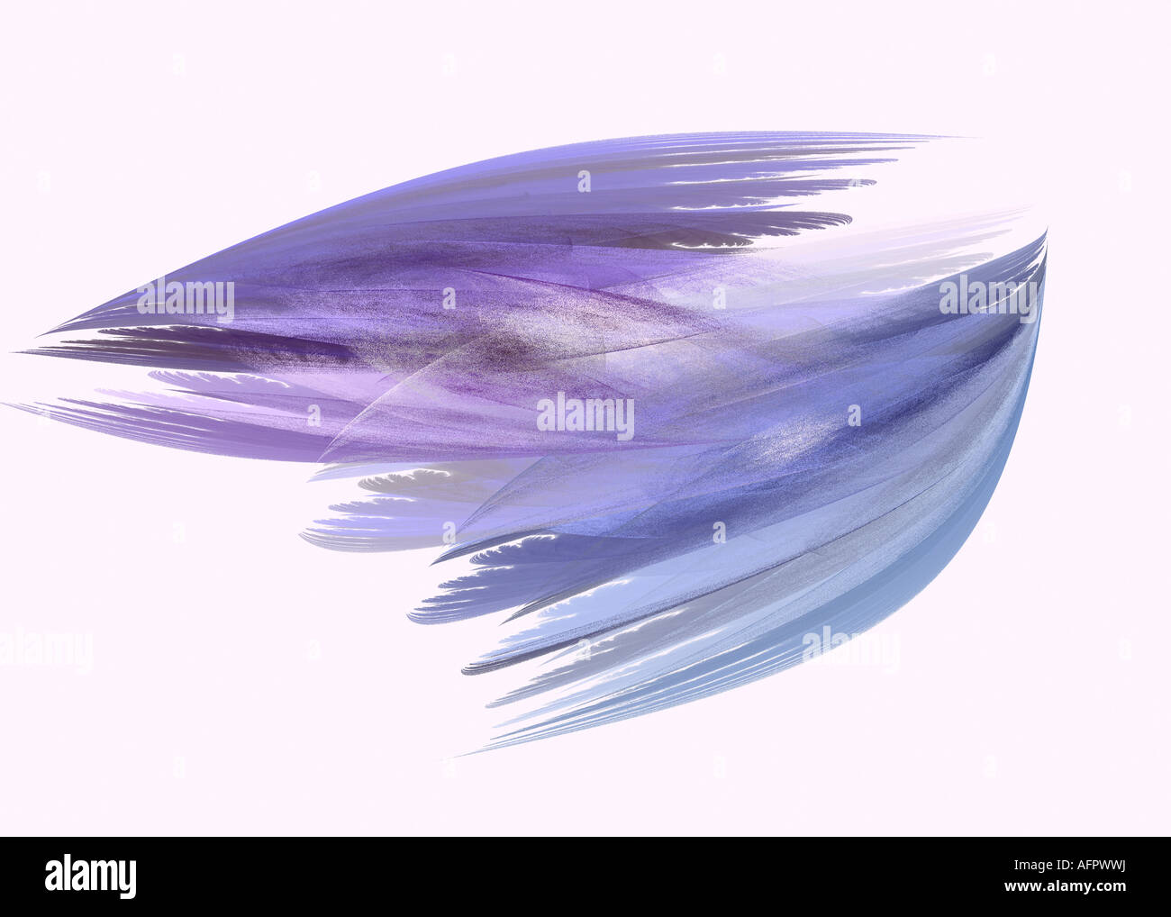 Computer Generated Abstract Fractal Image of Wing Shapes - a Strange ...