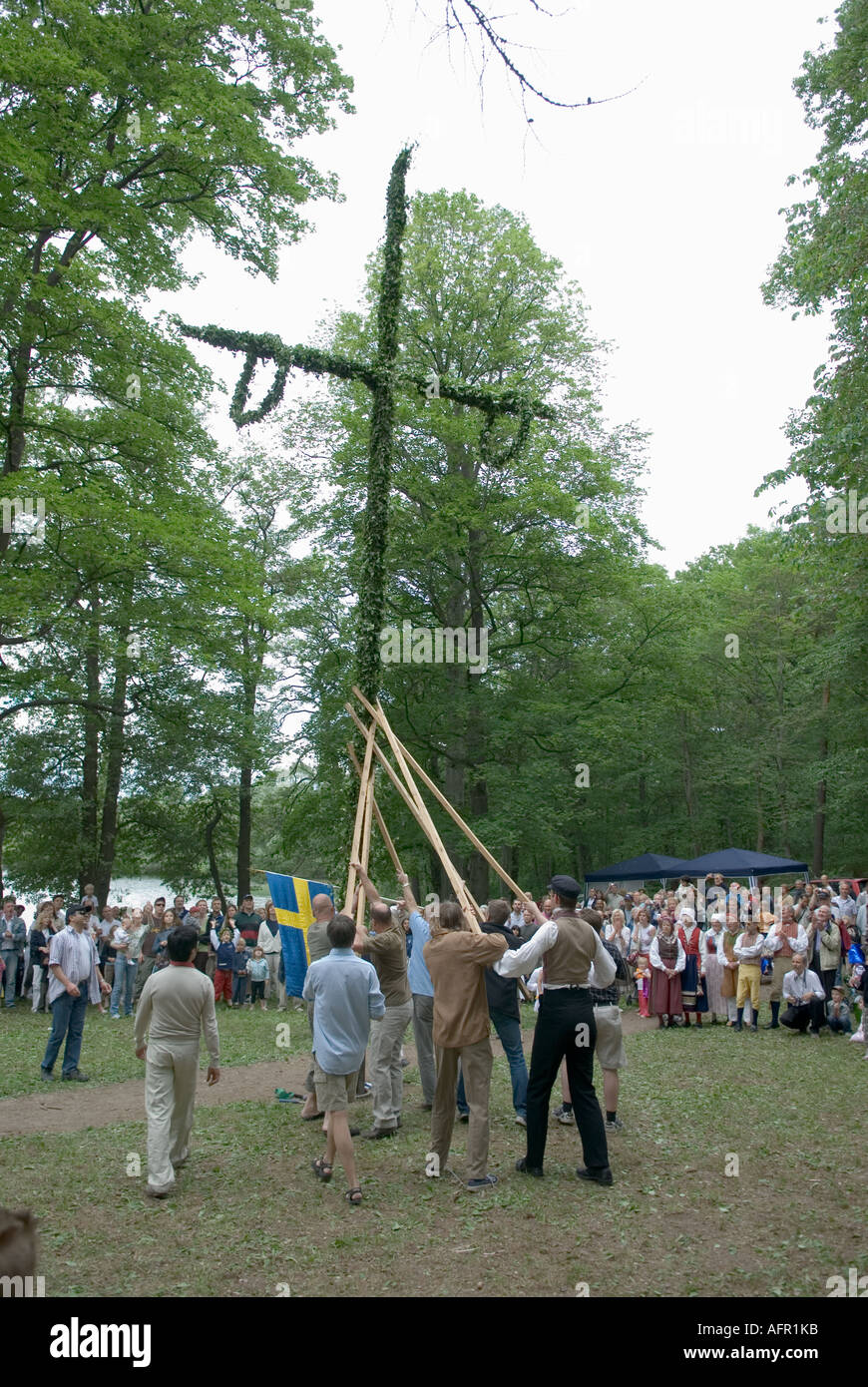 Rising of a maypole in Sweden Stock Photo - Alamy