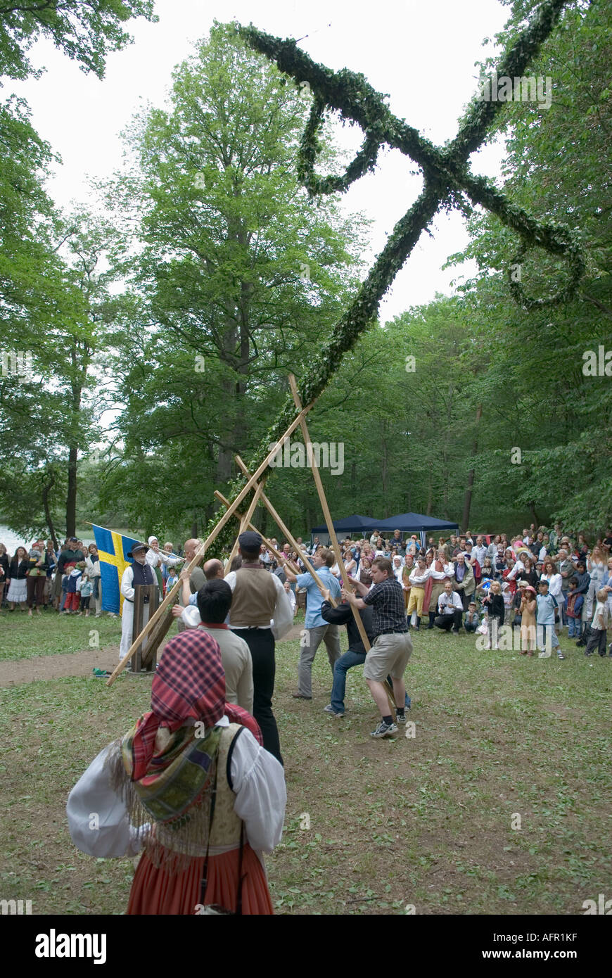 Rising of a maypole in Sweden Stock Photo - Alamy